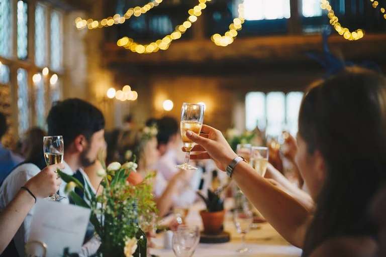 Infographic on the Different Types of Parties - DivinePartyConcepts